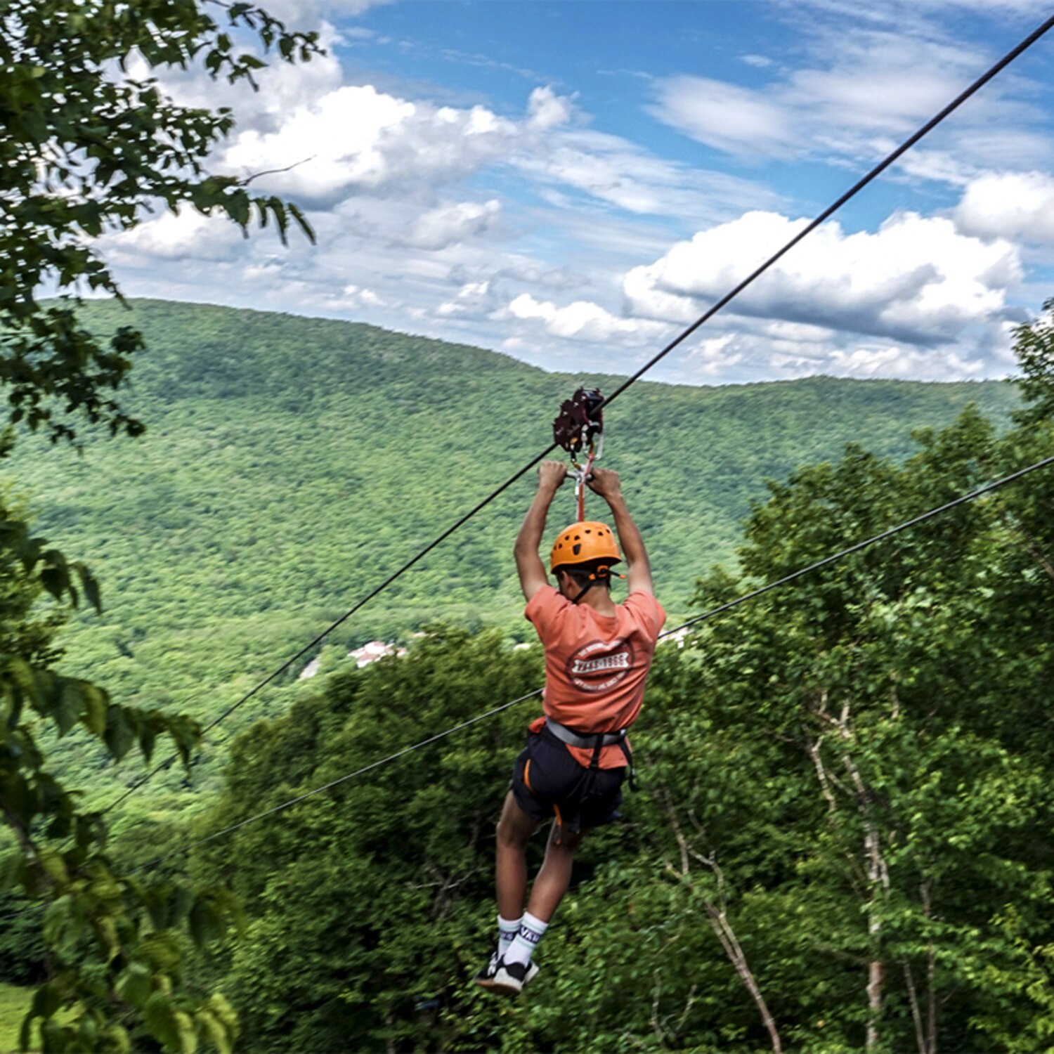 Une tyrolienne à virages dans les sous-bois du mont Sutton | Coup de Pouce