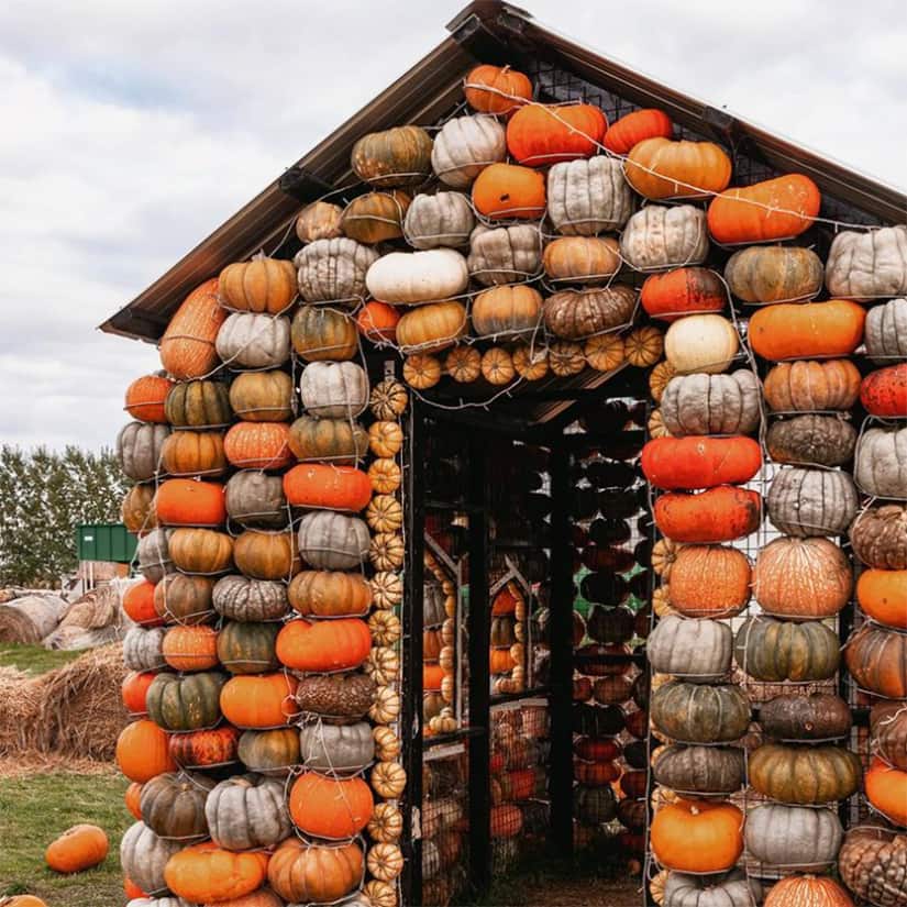 Sortie du weekend: visitez le village de citrouilles Citrouilleville ...