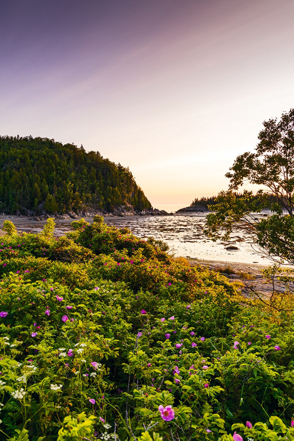 10 parcs nationaux à découvrir à travers le Québec | Coup de Pouce