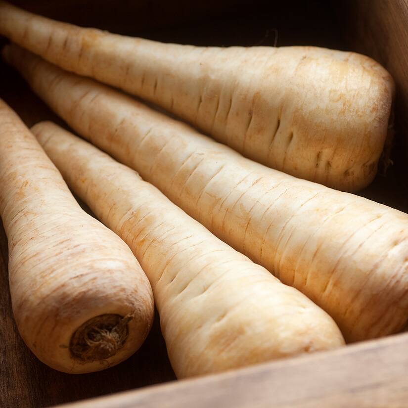 5 choses à savoir sur le panais | Coup de Pouce