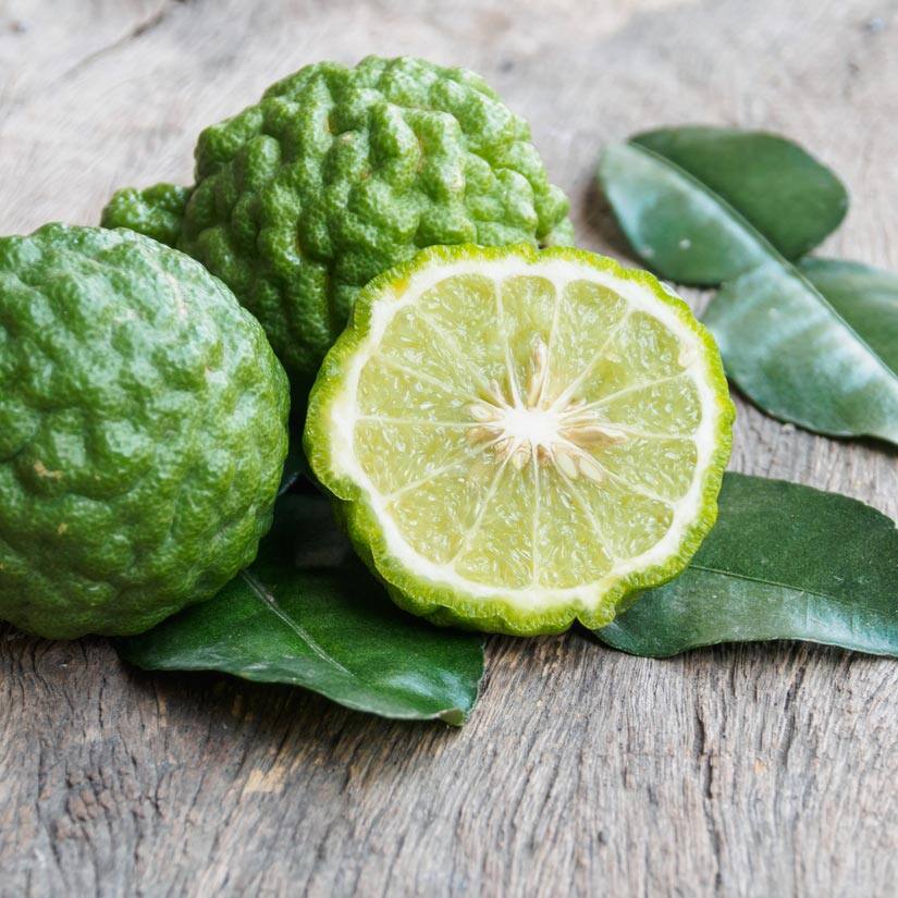 7 agrumes insolites à découvrir | Coup de Pouce