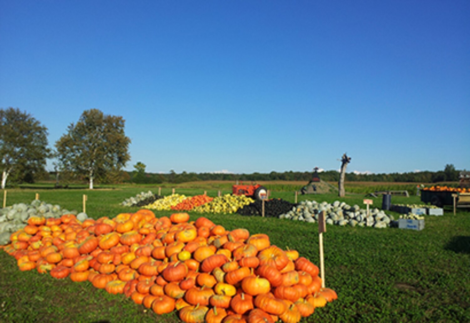 8 idées de sorties pour les week-ends d'automne | Coup de Pouce