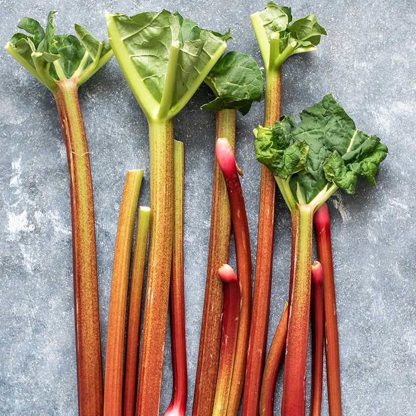 5 trucs sur la rhubarbe | Coup de Pouce