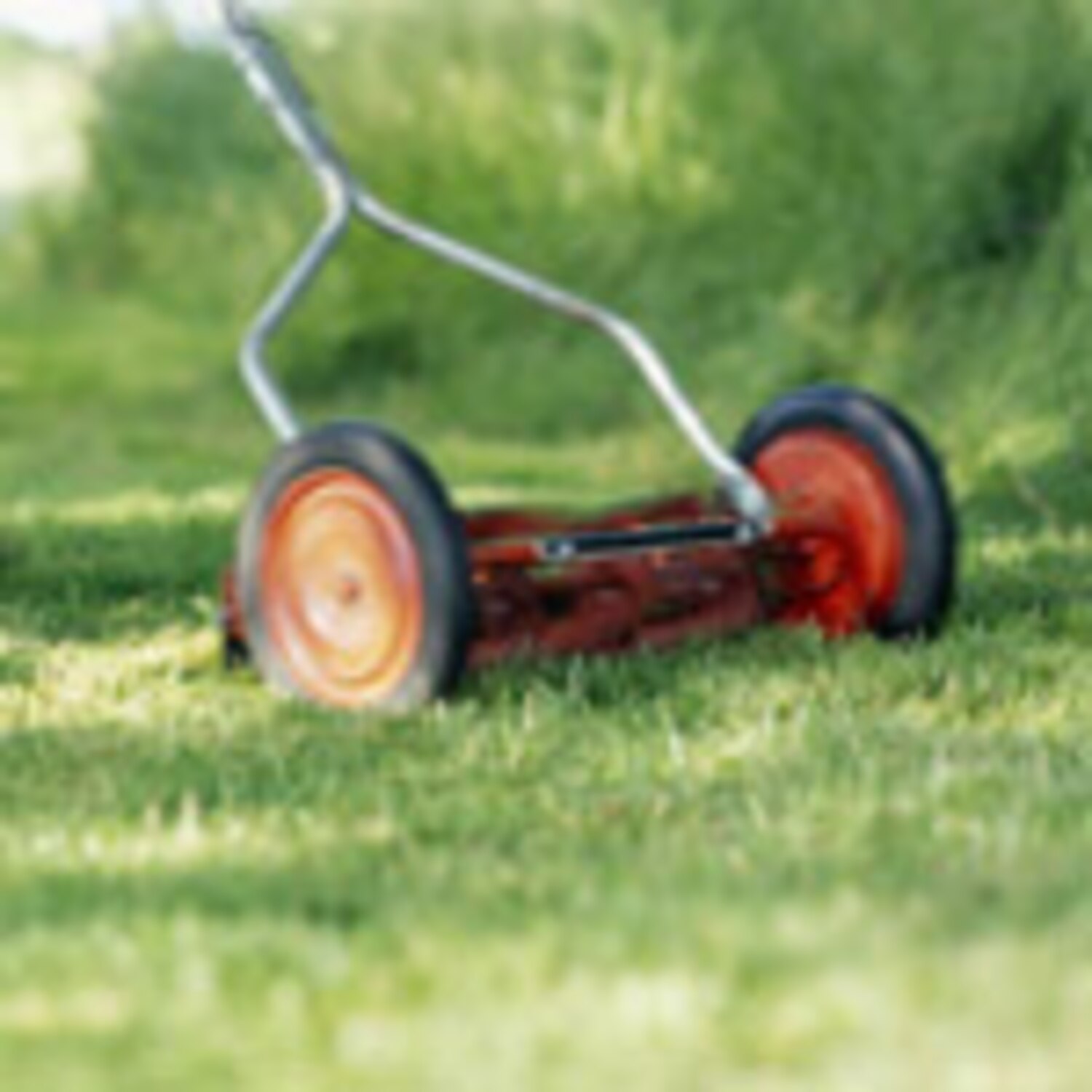 Pour un gazon vert, naturellement! | Coup de Pouce