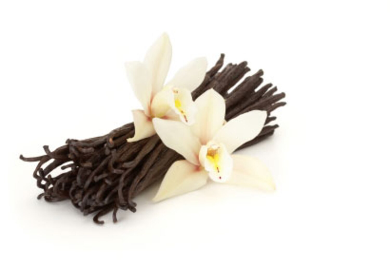 Comment choisir une gousse de vanille | Coup de Pouce