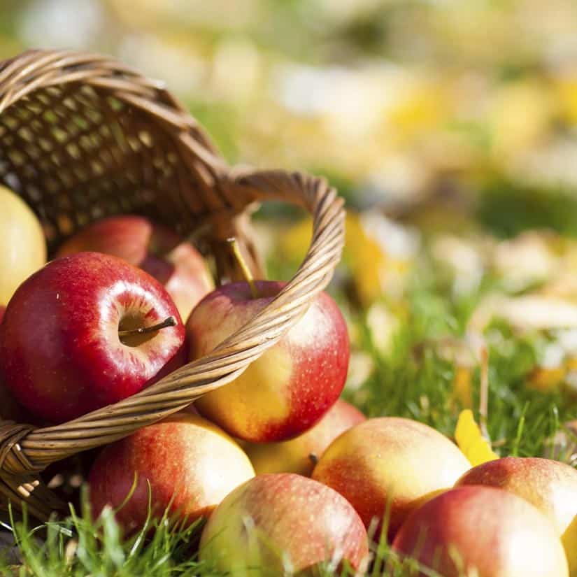 Tout pour un automne chaleureux | Coup de Pouce