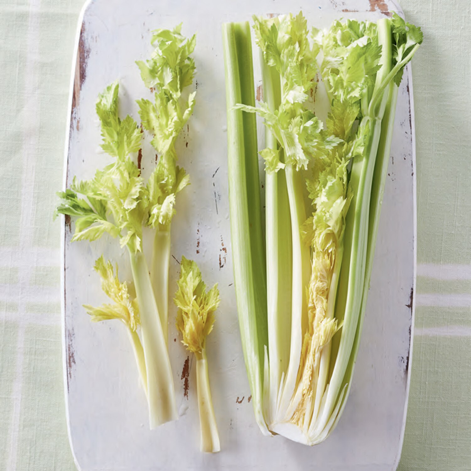 Voici le truc ultime pour redonner vie à votre céleri | Coup de Pouce