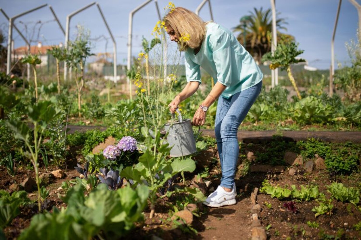 8 Tips For Watering Your Garden Without Wasting H2O | Canadian Living
