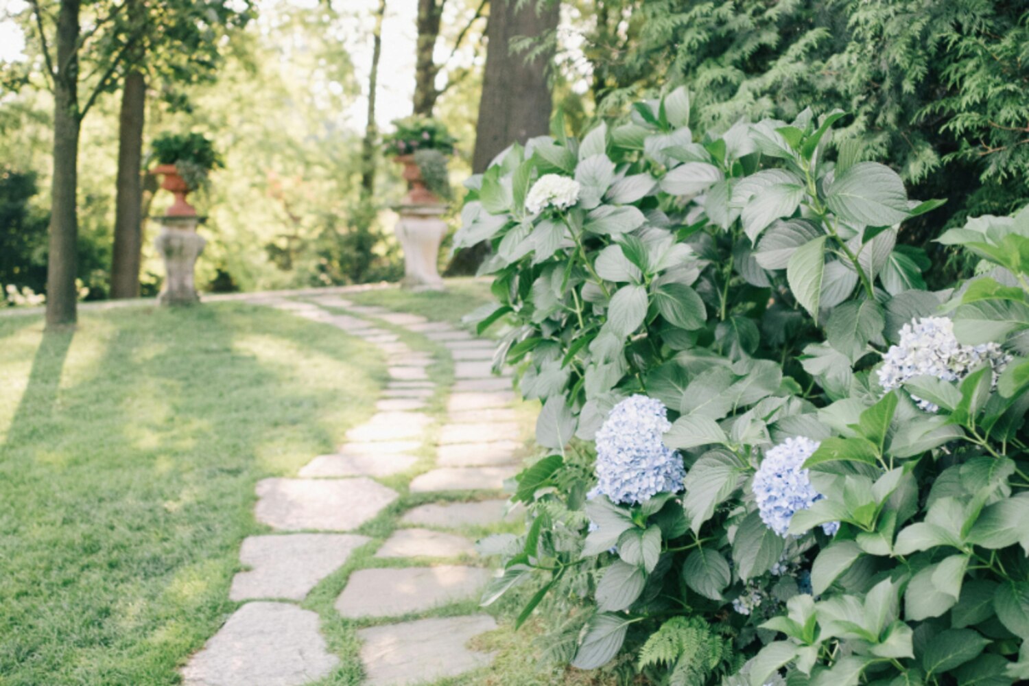Frankie Flowers' Guide To Hardy Hydrangeas | Canadian Living
