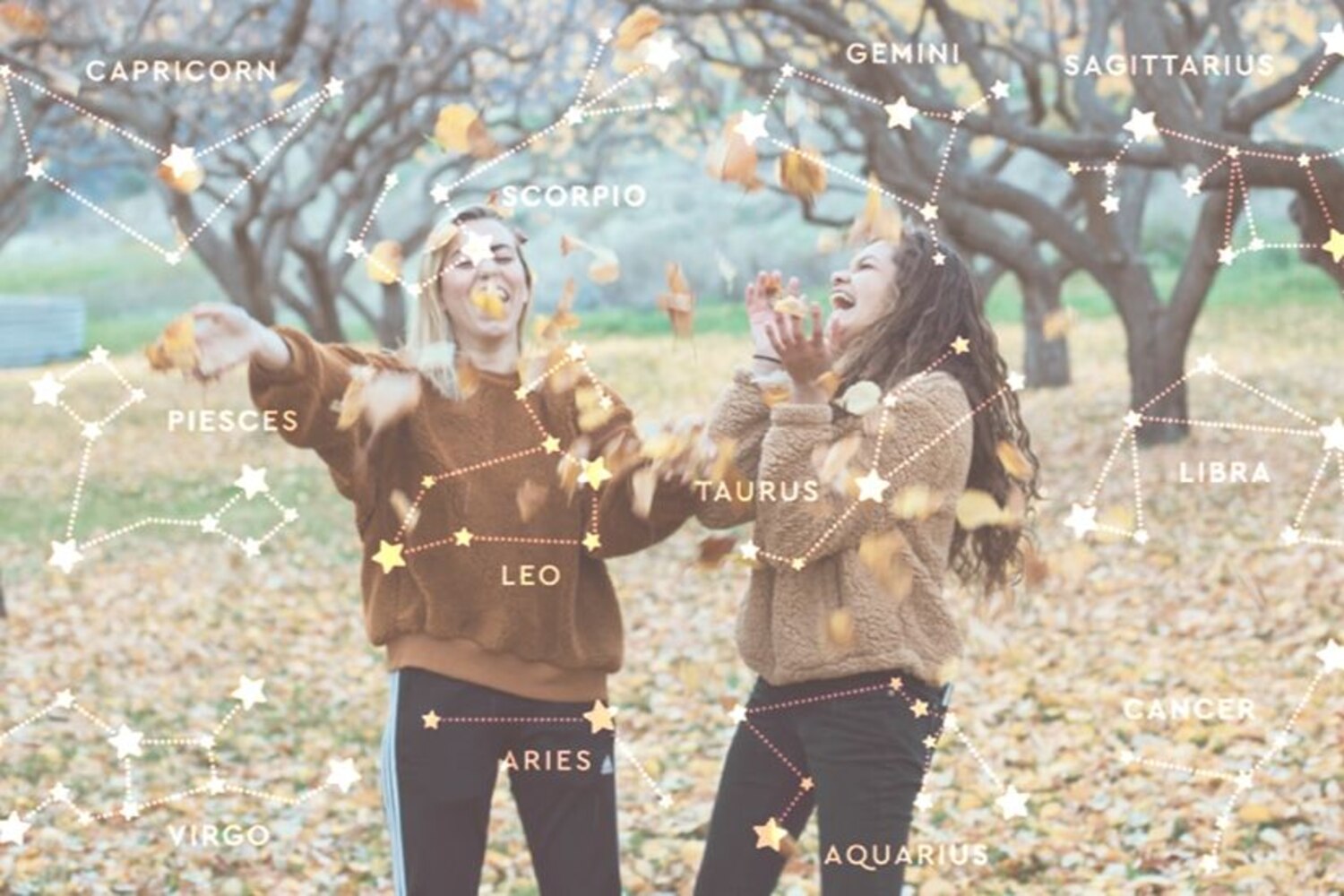 The 3 Easiest Astrological Signs to Live With | Canadian Living