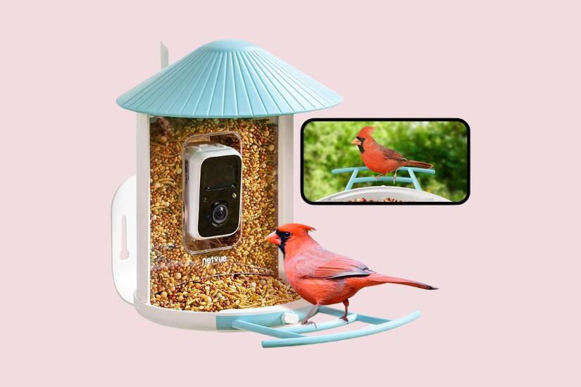 17 Top Tech Gifts & Gadgets To Give This Year | Canadian Living