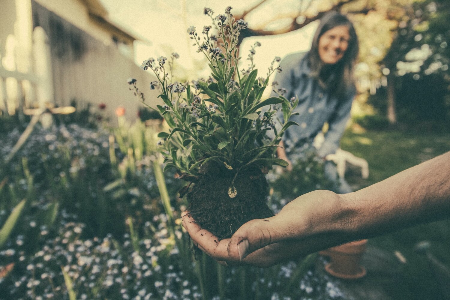 The Ultimate Guide to Gardening for Beginners | Canadian Living