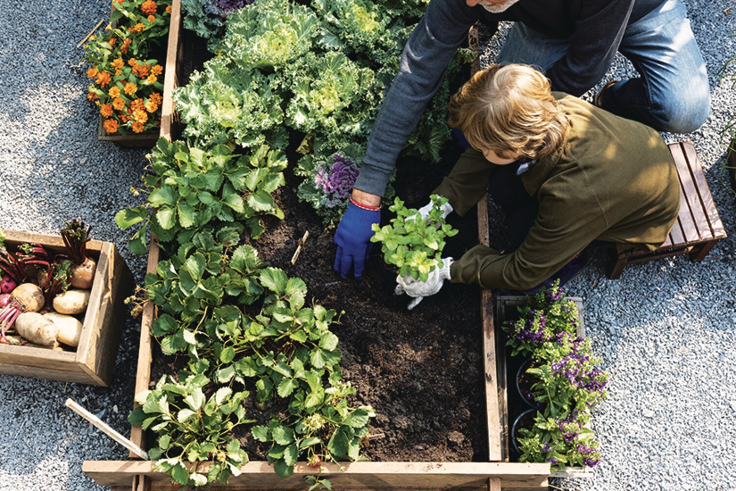 How to Start Gardening Vegetables | Canadian Living