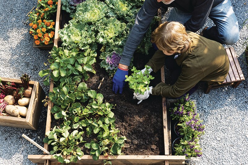 The Ultimate Guide to Gardening for Beginners | Canadian Living