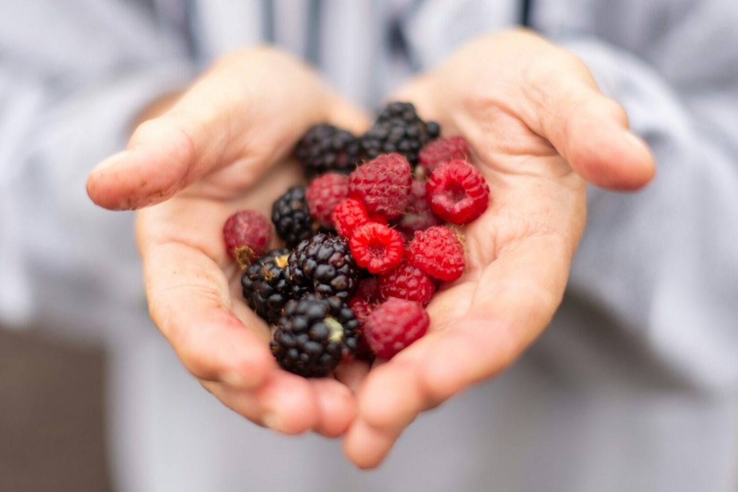 The Best Farms For Berry Picking in Ontario | Canadian Living