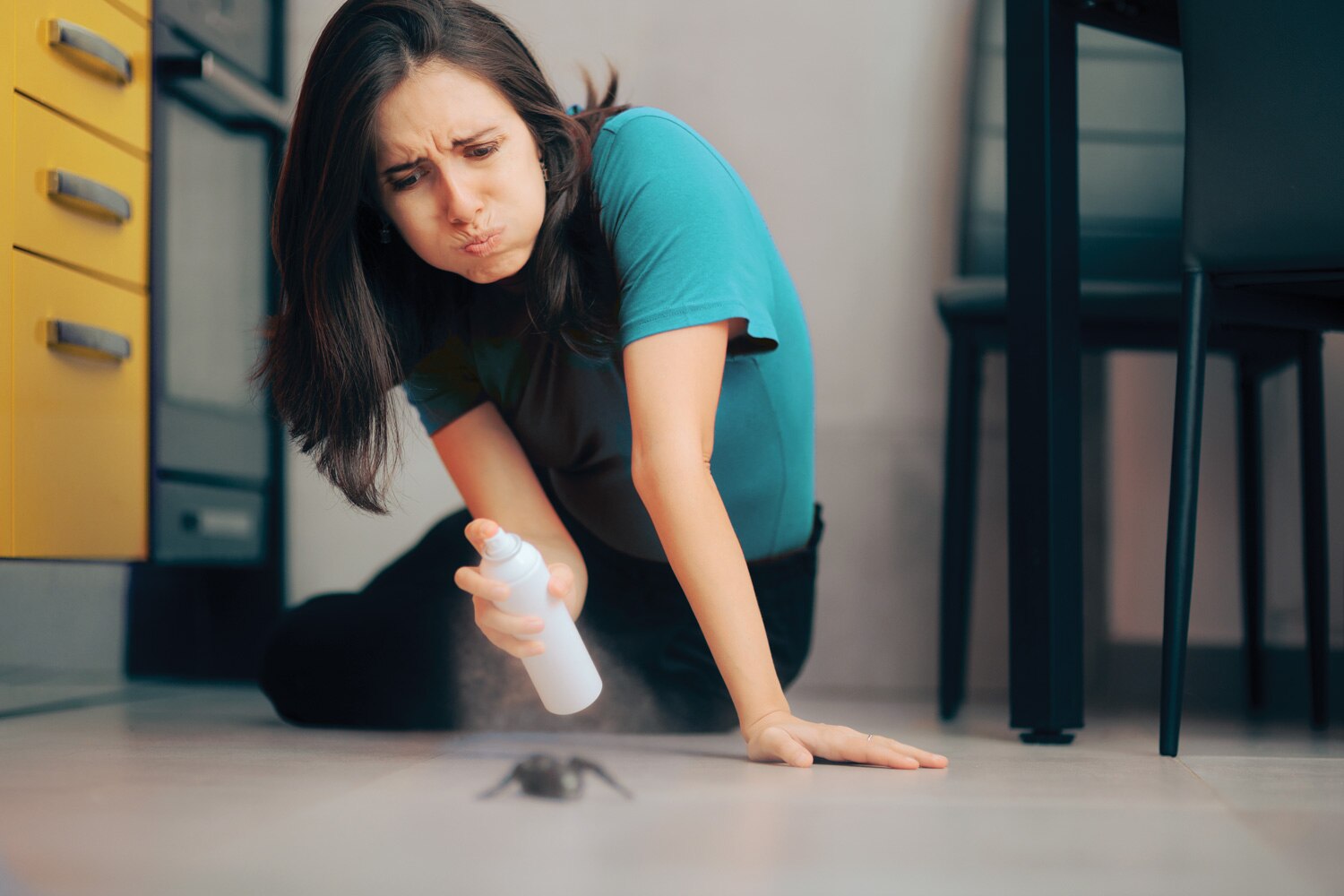 7 Bugs You Can Find In Your House And What You Can Do To Be Rid Of Them ...