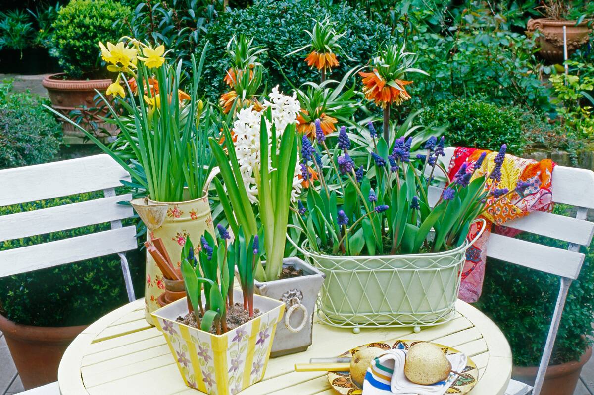 Get out in the garden: Spring planting and garden planning tips ...