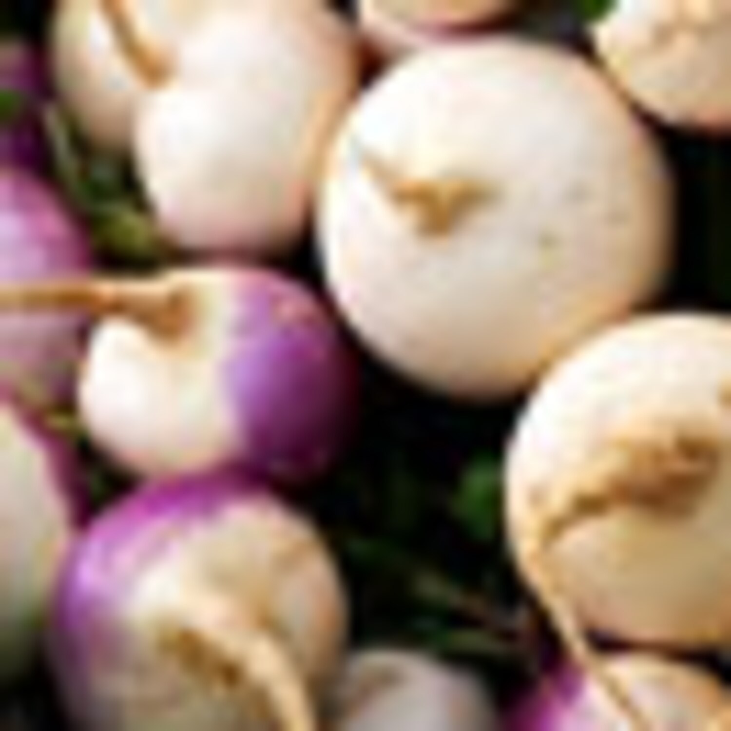 Get your 5-10 a day: Turnips | Canadian Living