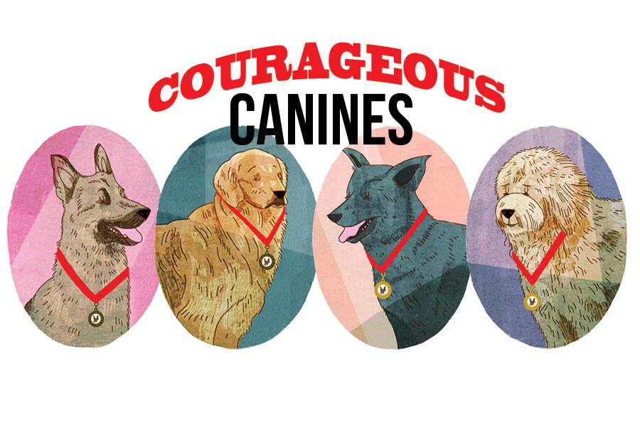 4 unbelievably heroic stories of dogs | Canadian Living
