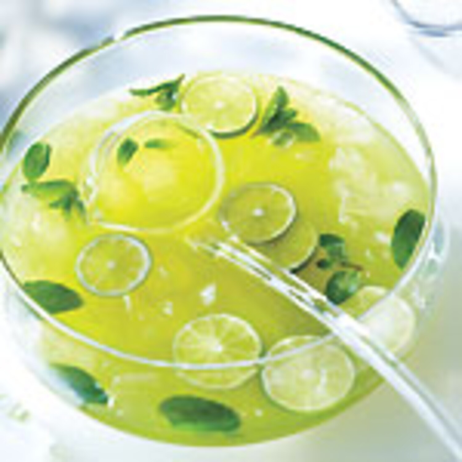 Mojito Punch | Canadian Living