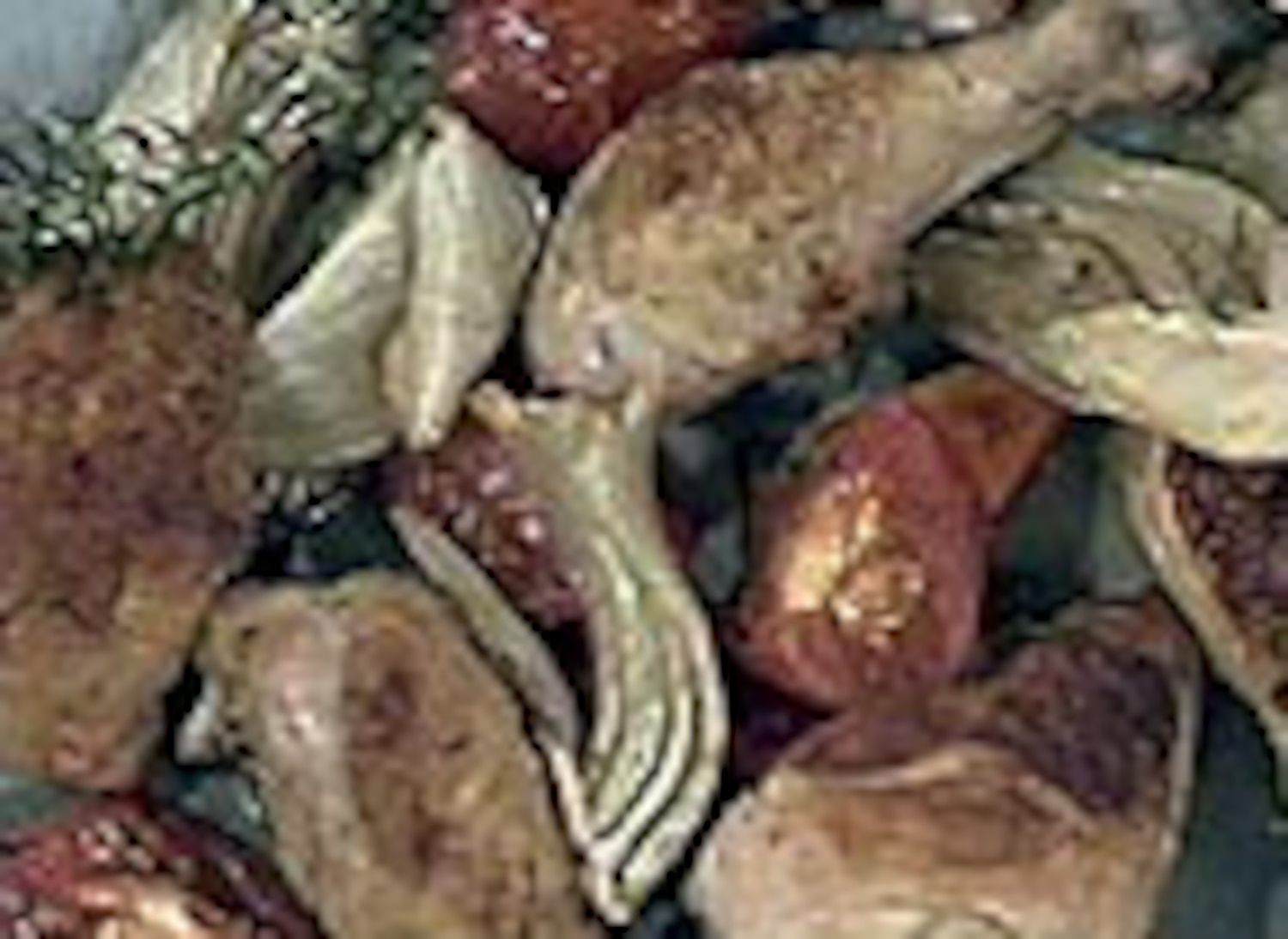 Chicken Flambe with Pastis | Canadian Living