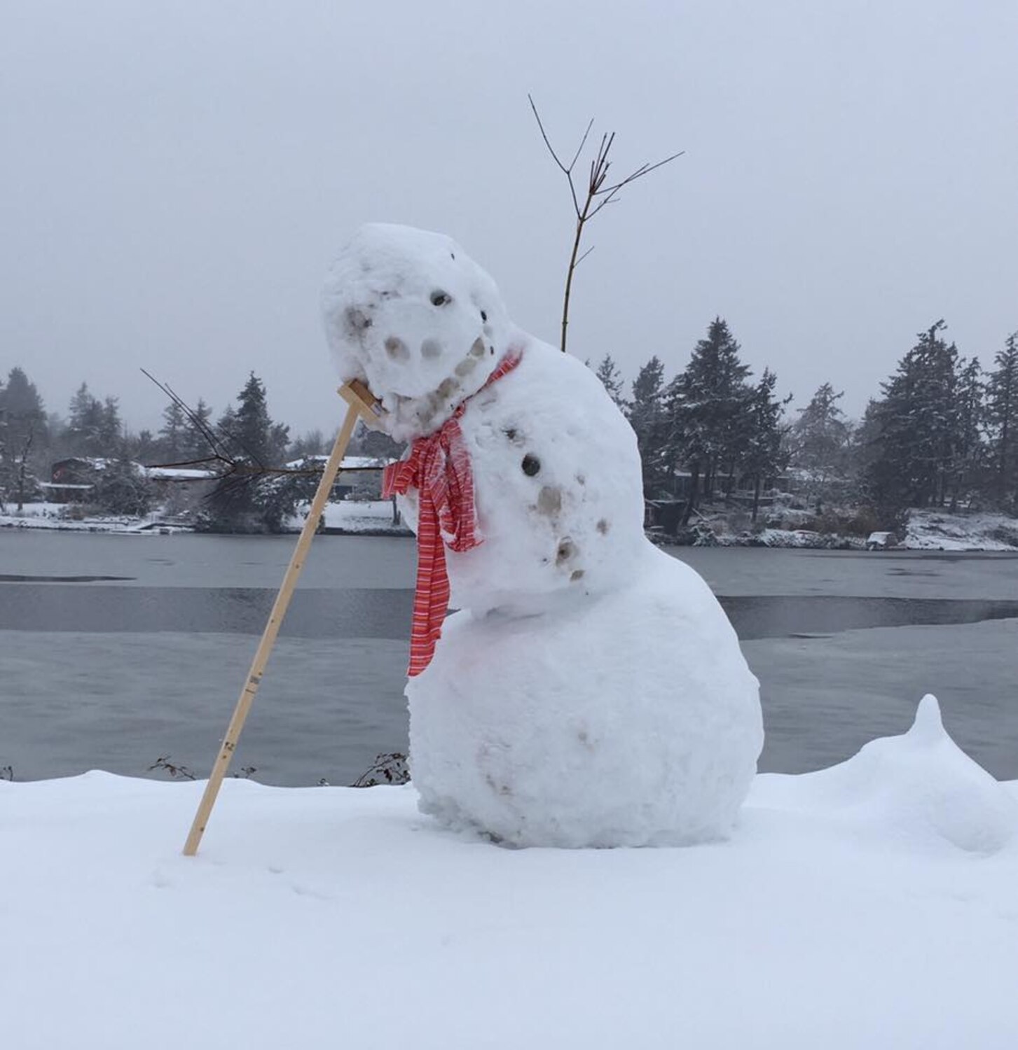 This is what a Canadian winter really looks like | Canadian Living