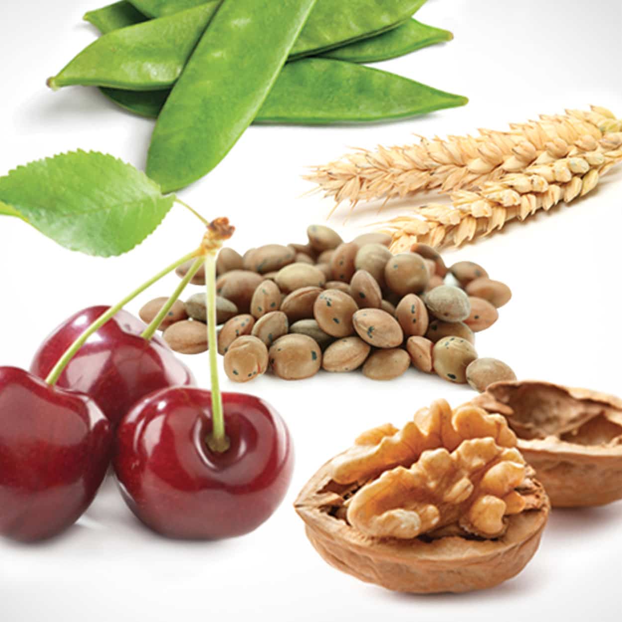 Controlling blood glucose: top 5 foods for better health | Canadian Living