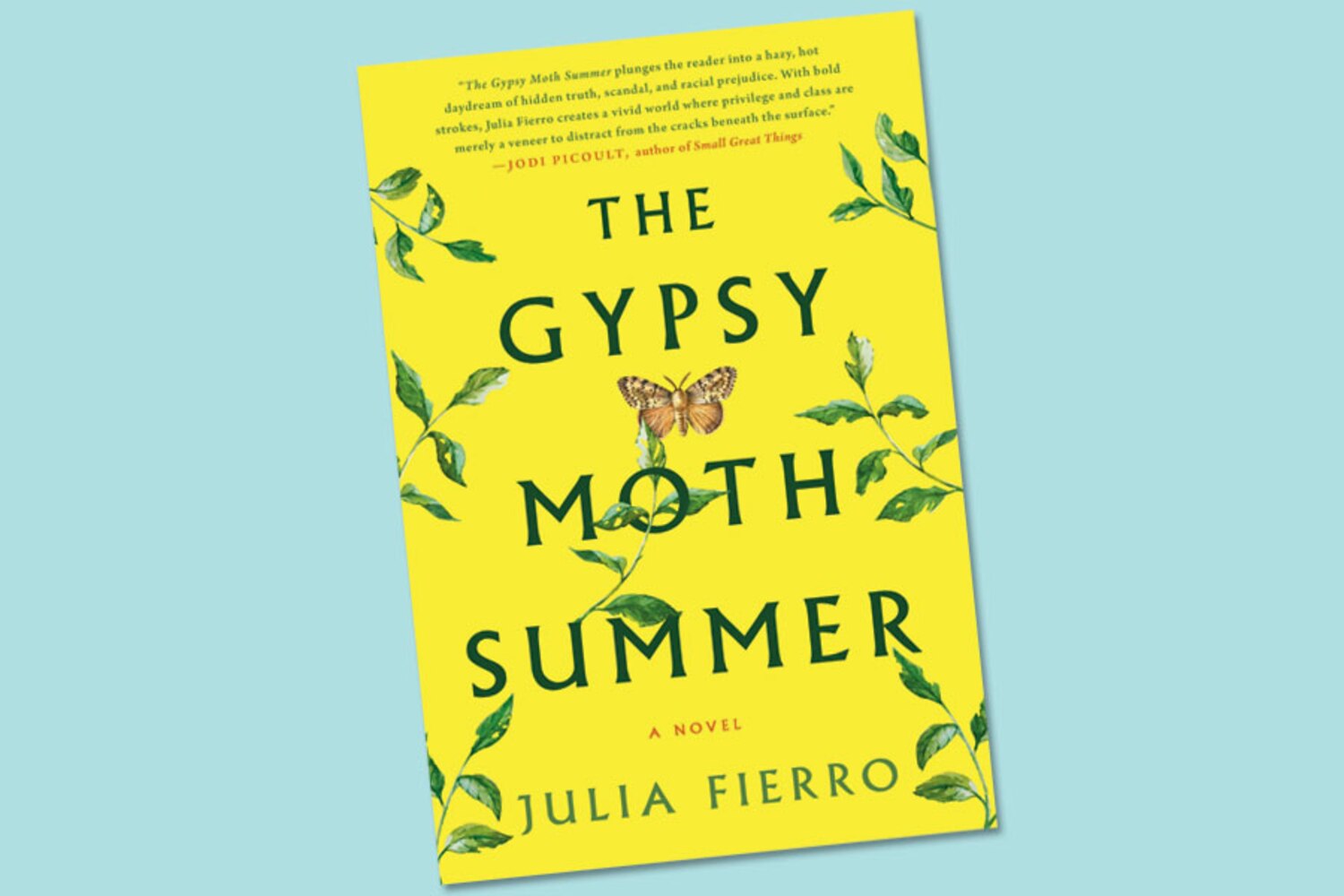 Julia Fierro's new novel, The Gypsy Moth, is a lesson in race and class ...