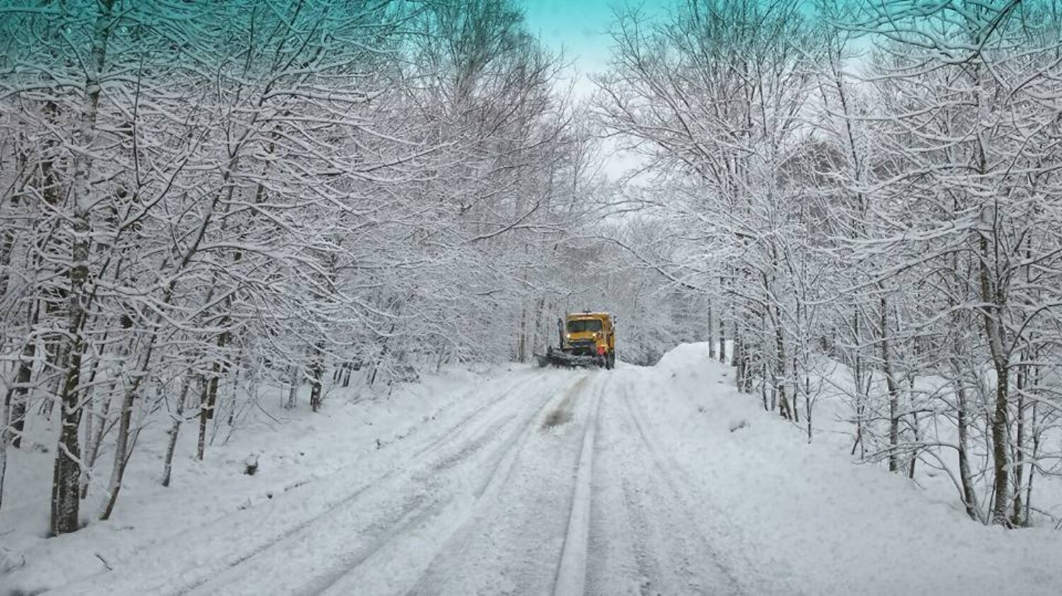This is what a Canadian winter really looks like | Canadian Living