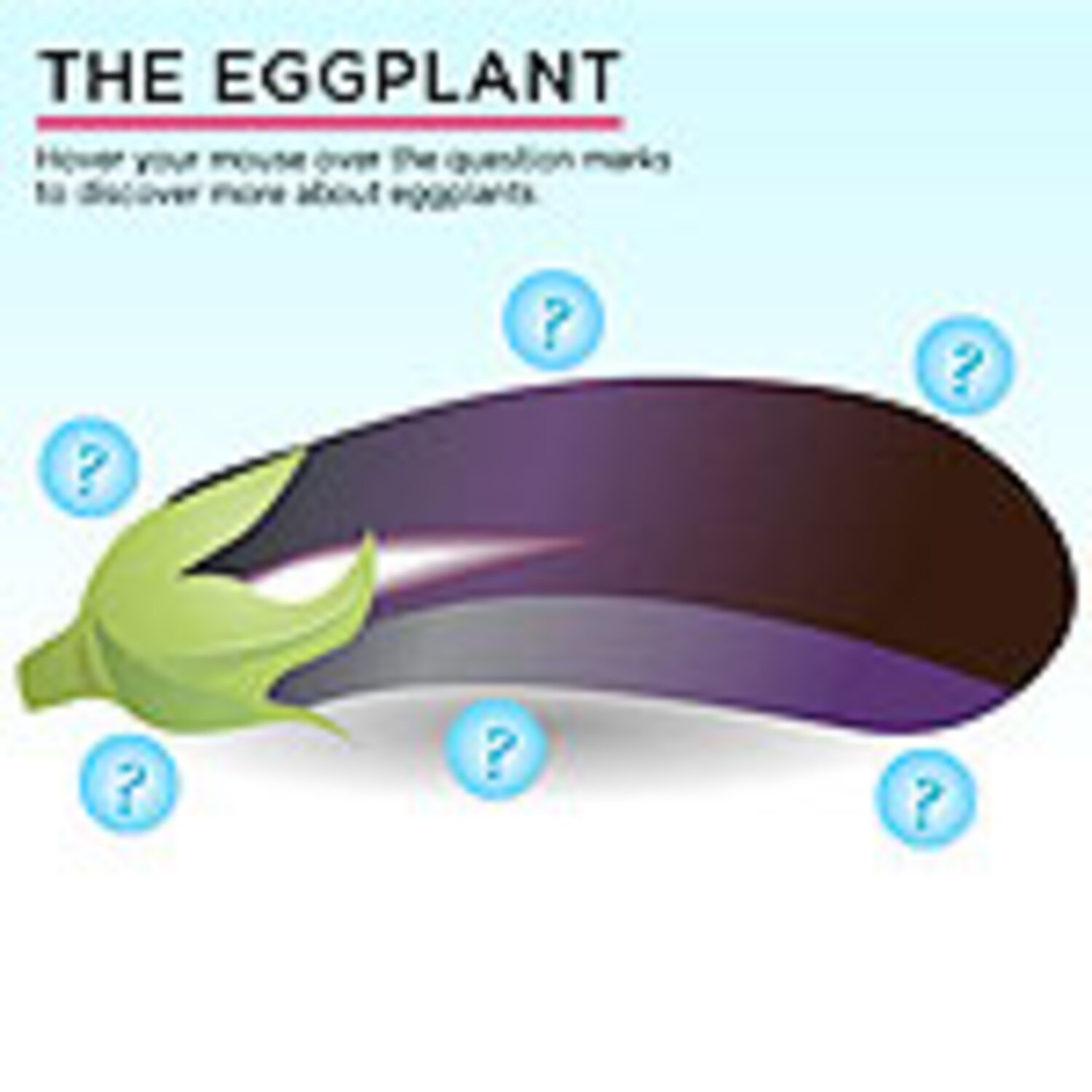 How to grow and eat: Eggplants | Canadian Living