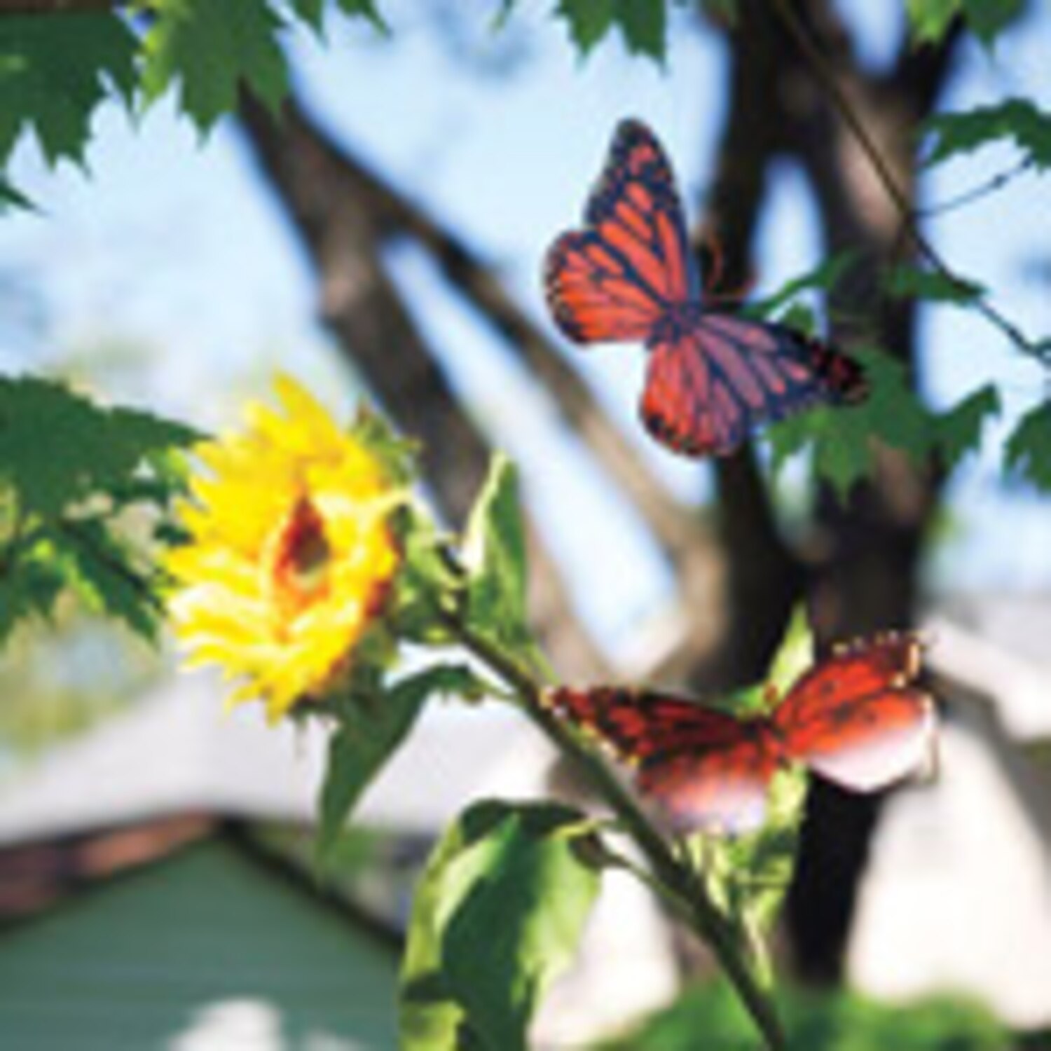 How to make a monarch butterfly mobile | Canadian Living