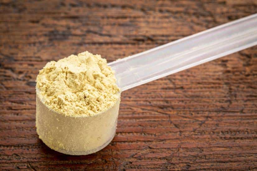 11 healthy powders with superfood benefits | Canadian Living