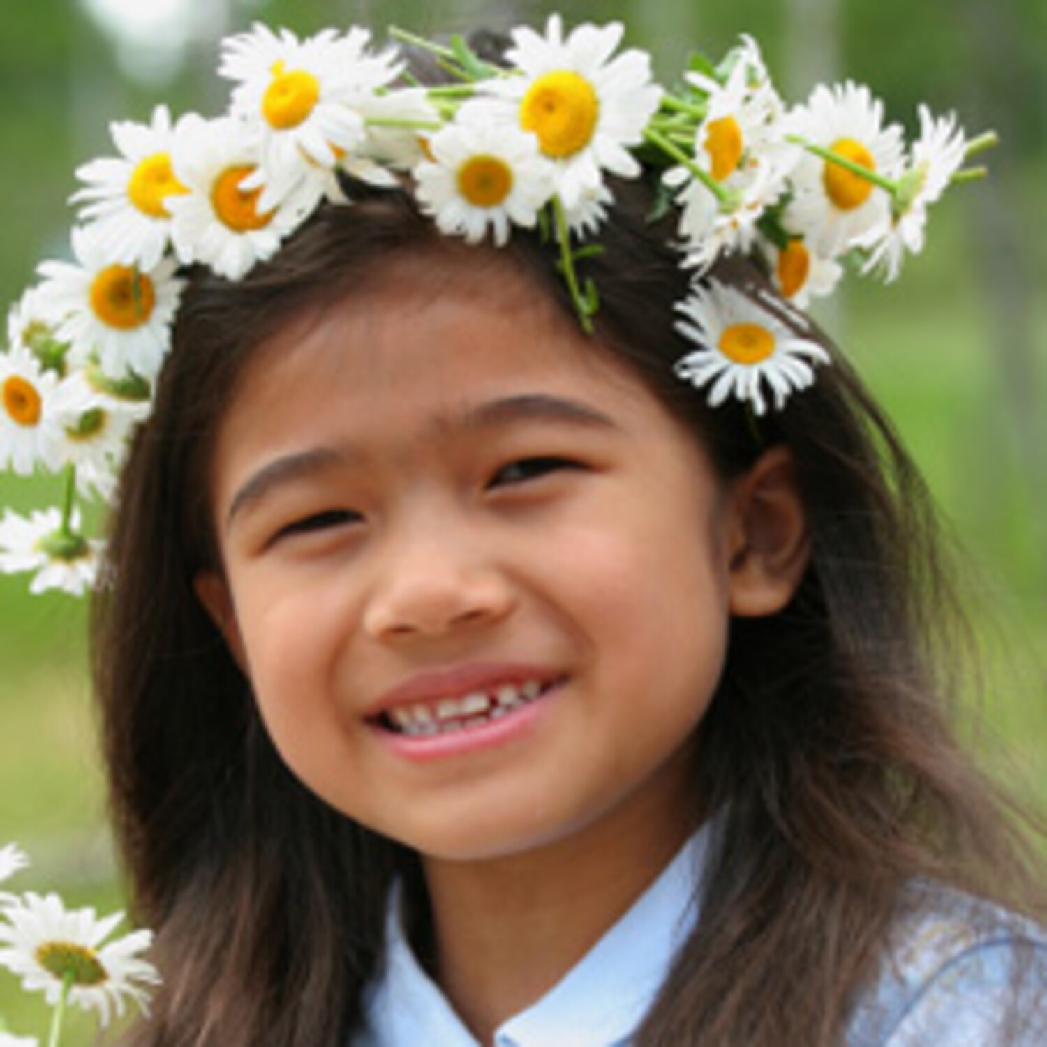 Old-fashioned daisy chains | Canadian Living