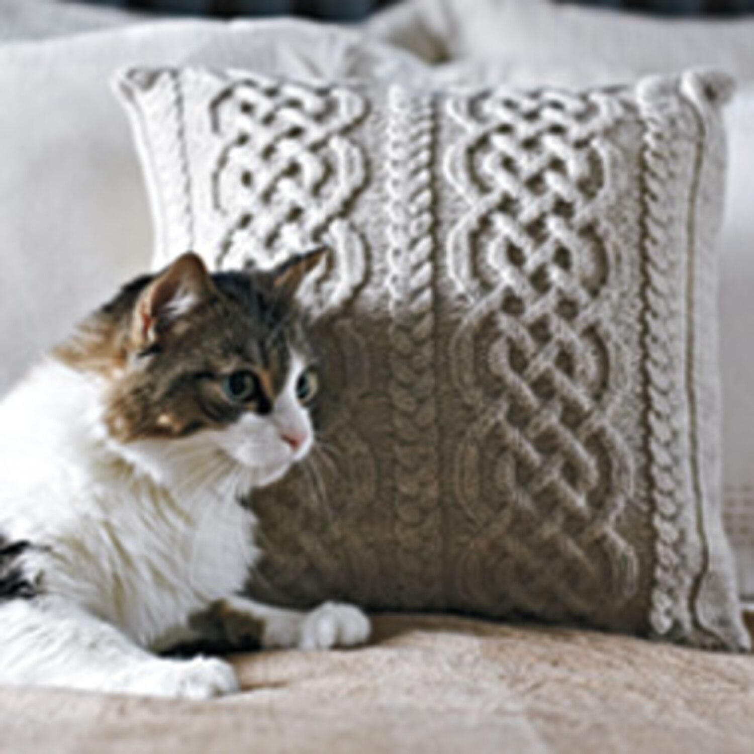 cable knit cushion pattern free