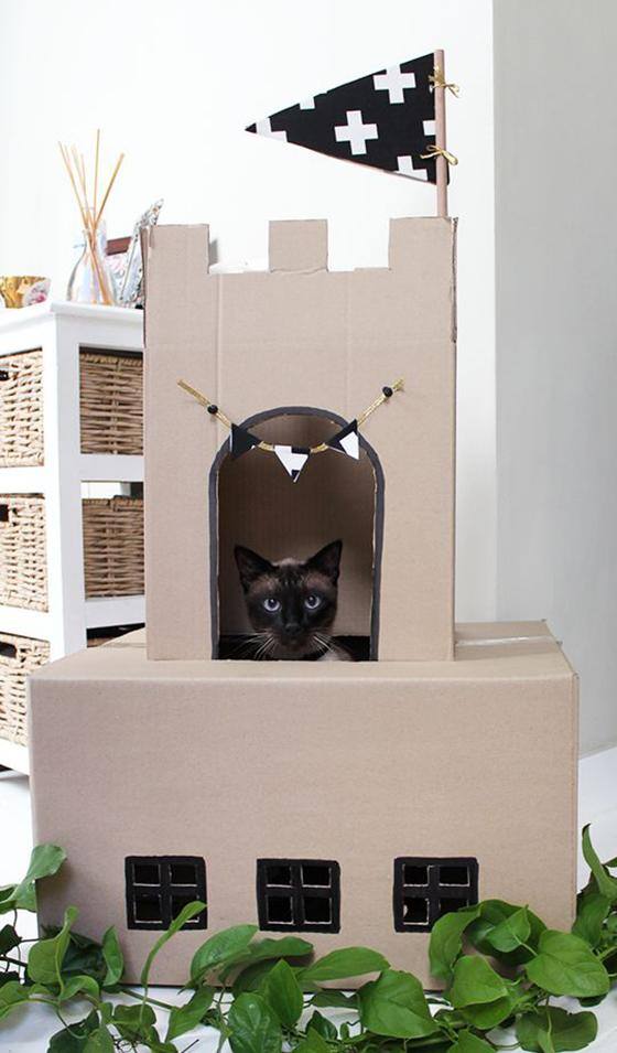 10 best DIY cat toys from Pinterest | Canadian Living