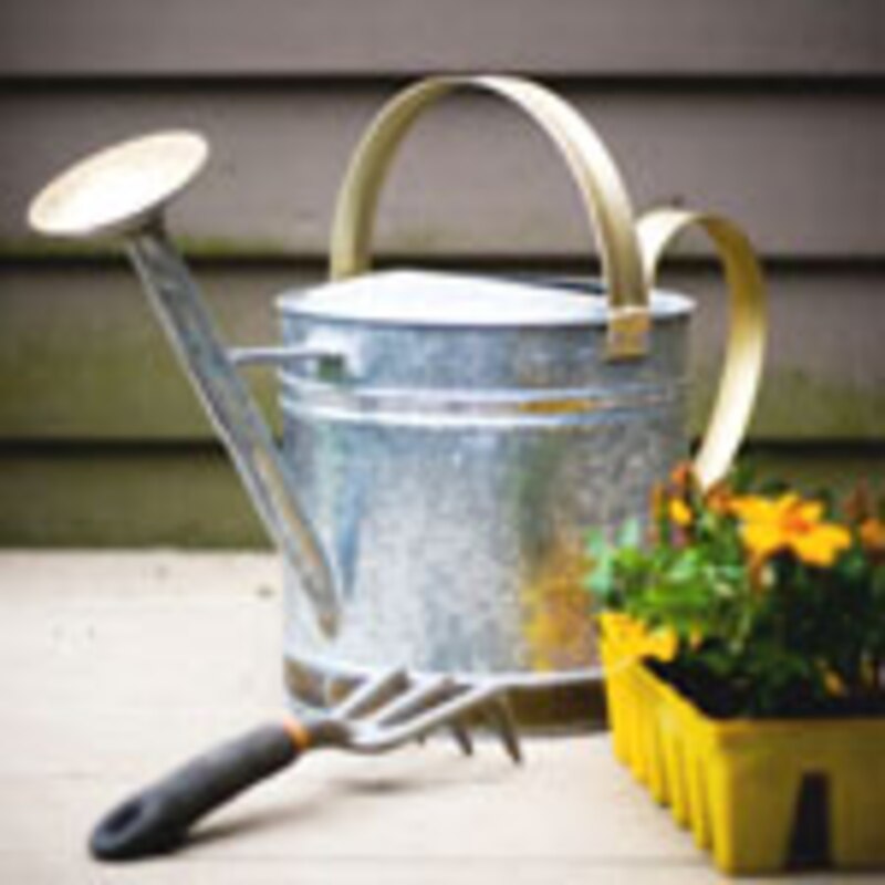 The Ultimate Guide to Gardening for Beginners | Canadian Living