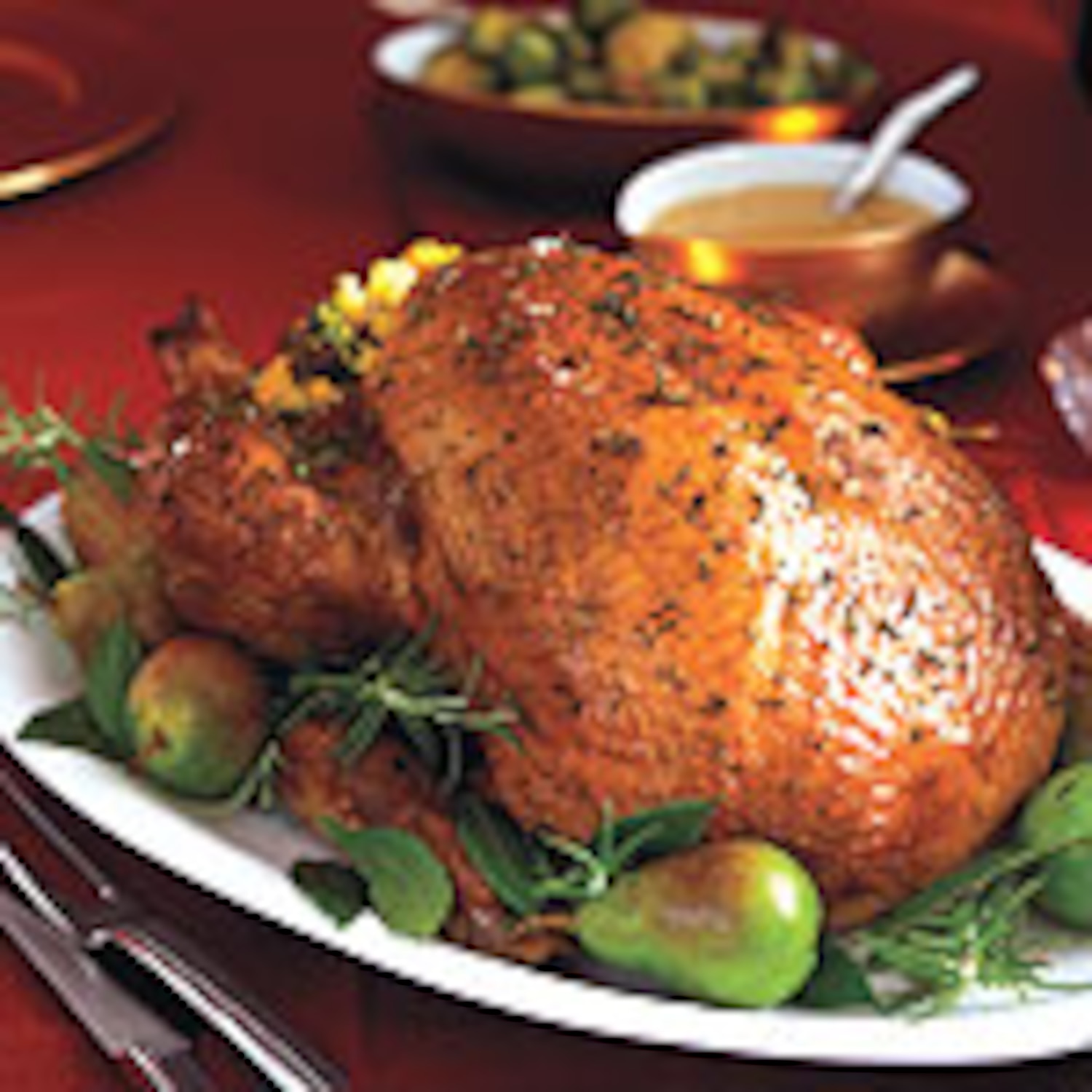 Roast Turkey with Chestnut Corn Bread Stuffing | Canadian Living