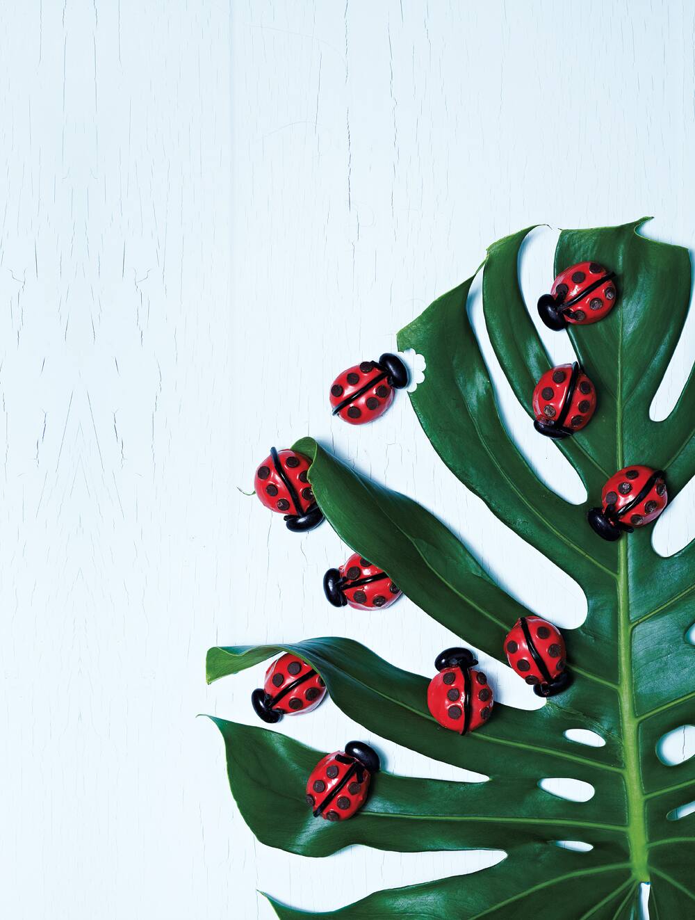 Ladybug Bonbons | Canadian Living