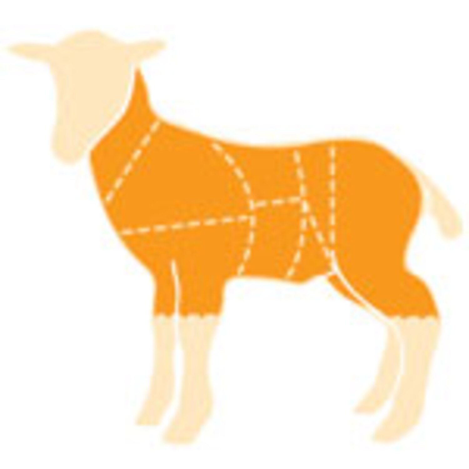 Butcher's block: Cuts of lamb | Canadian Living