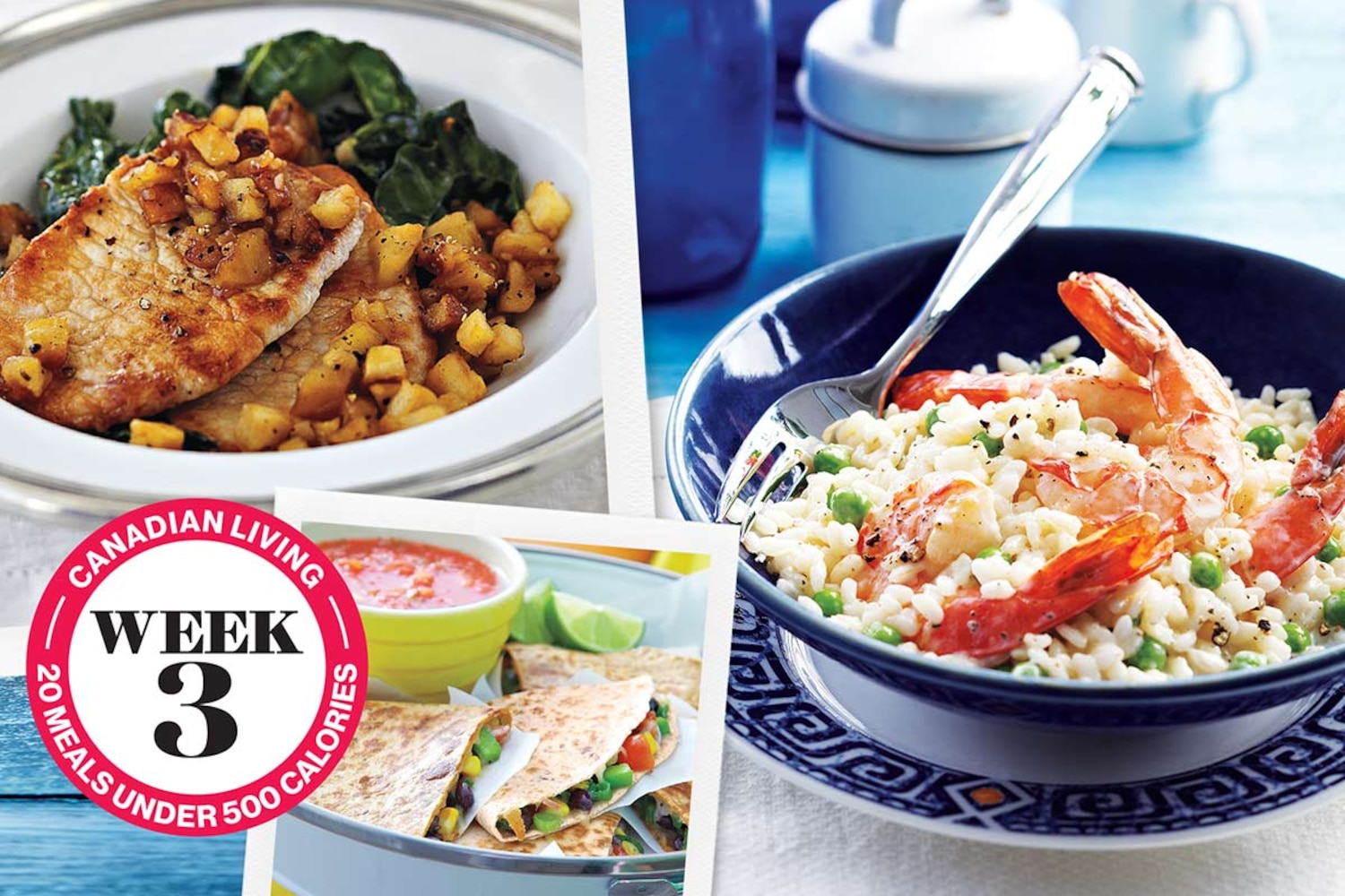 20 dinners under 500 calories - Week 3 | Canadian Living
