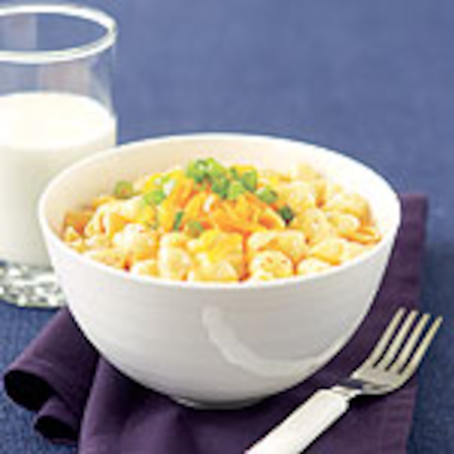 Pasta Shells in Double Cheese Sauce | Canadian Living