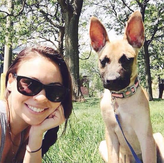 Meet 23 cute dogs from Canadian rescues and shelters | Canadian Living