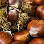All about chestnuts | Canadian Living