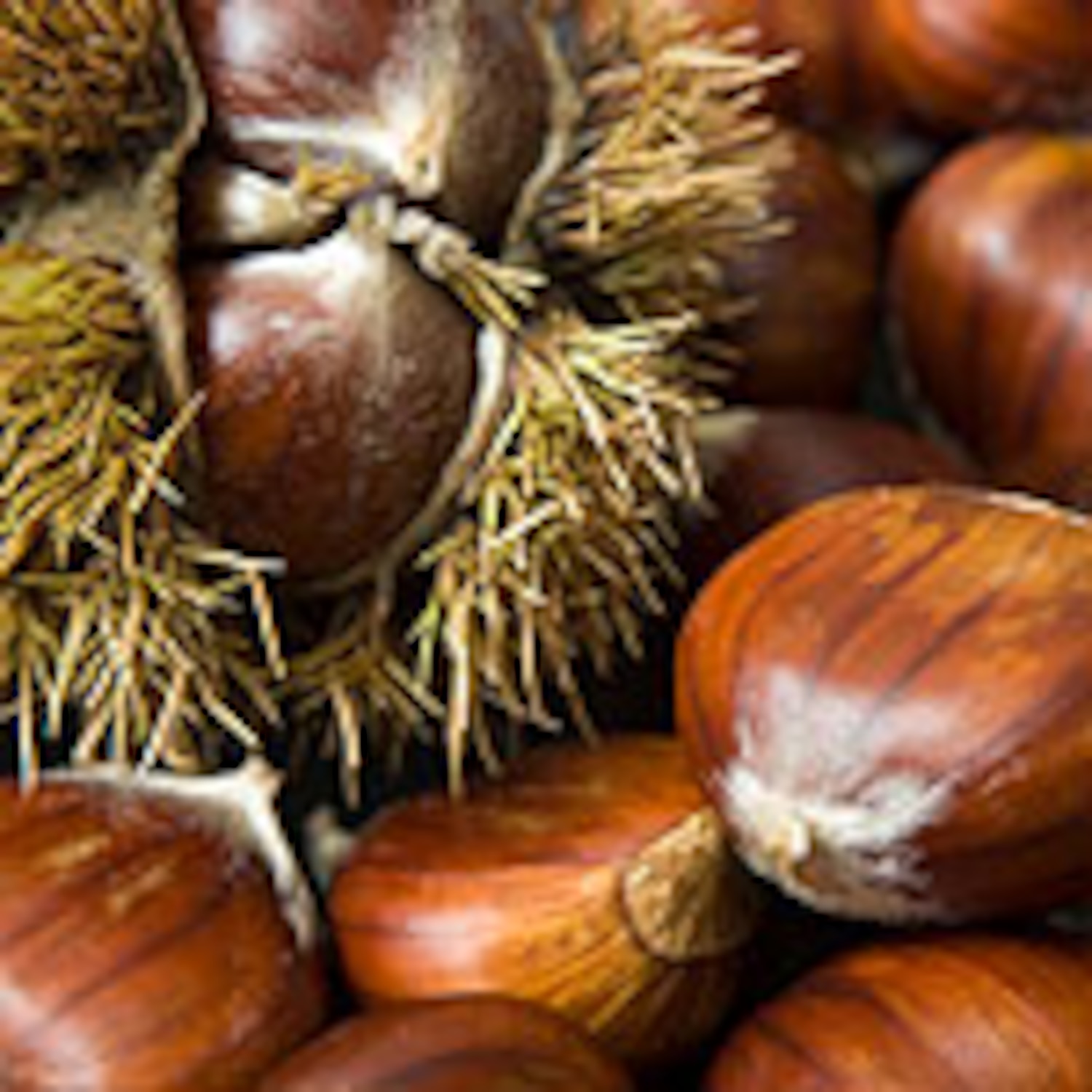 how to cook vacuum packed chestnuts