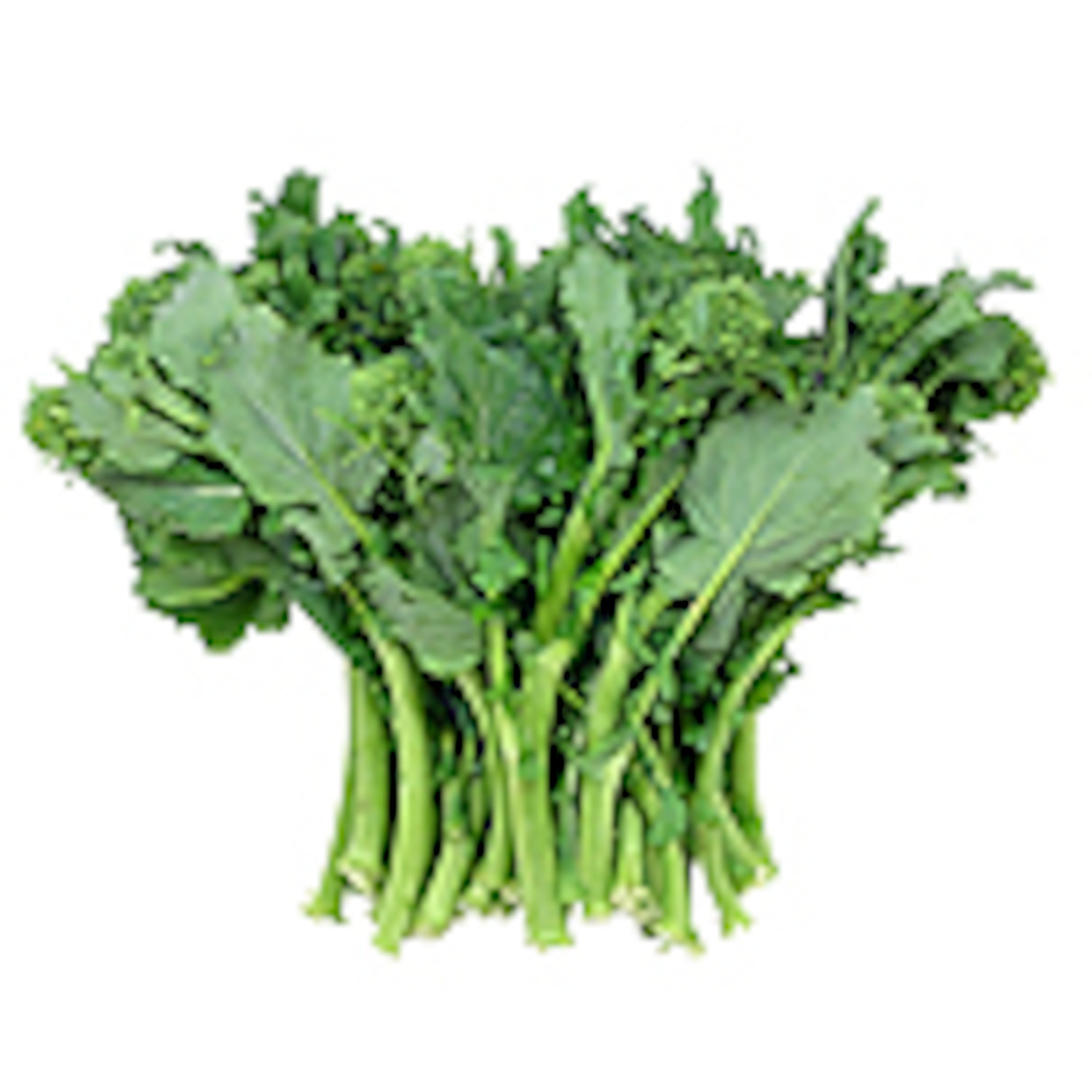 Delicious fall rapini recipes | Canadian Living
