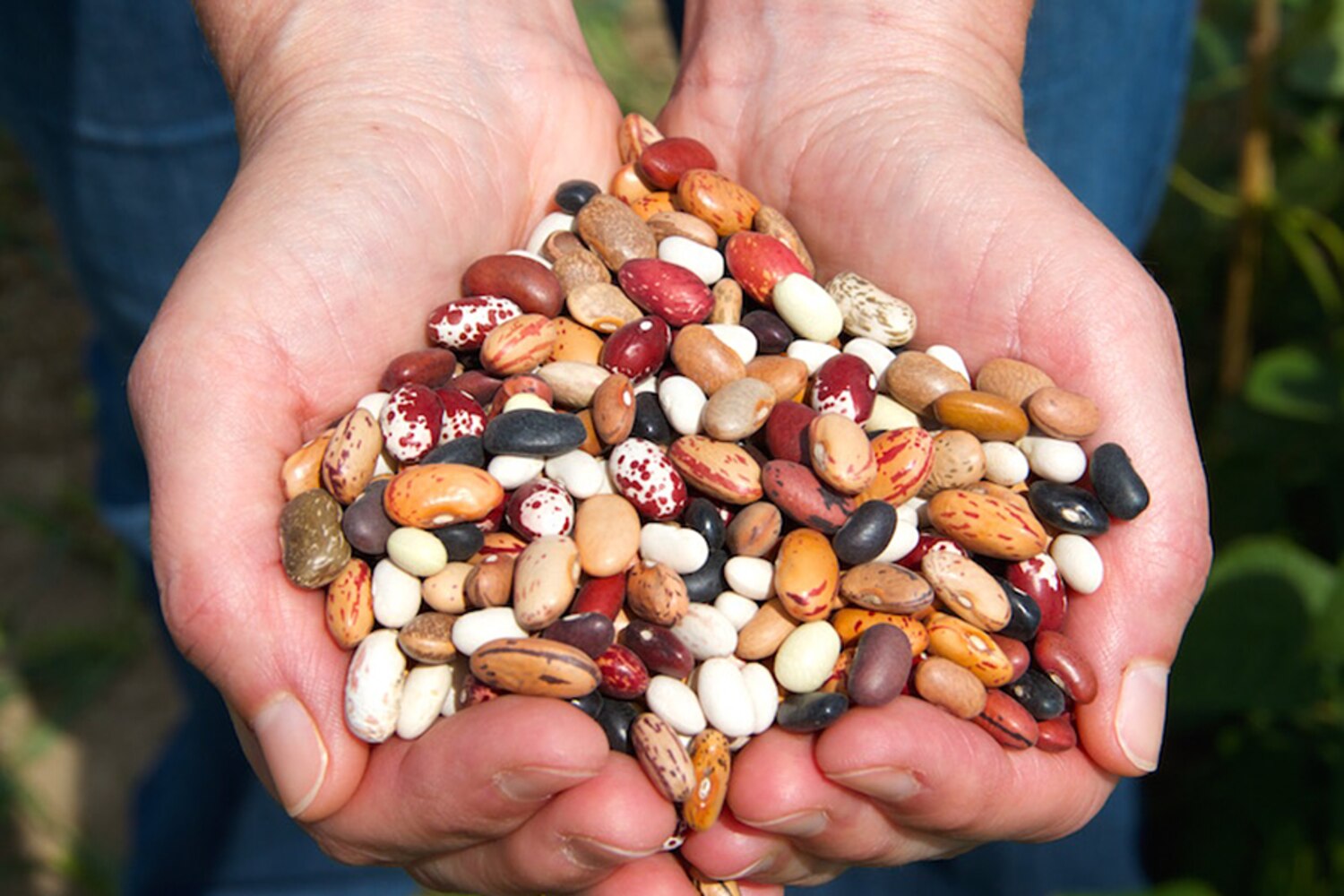 Wait, all of these foods are made or grown in Canada? | Canadian Living