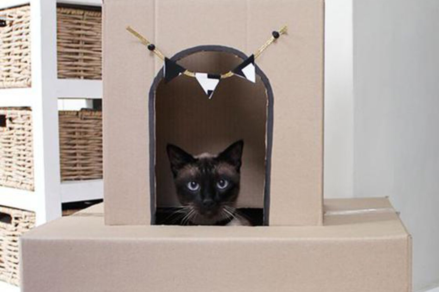 10 best DIY cat toys from Pinterest | Canadian Living