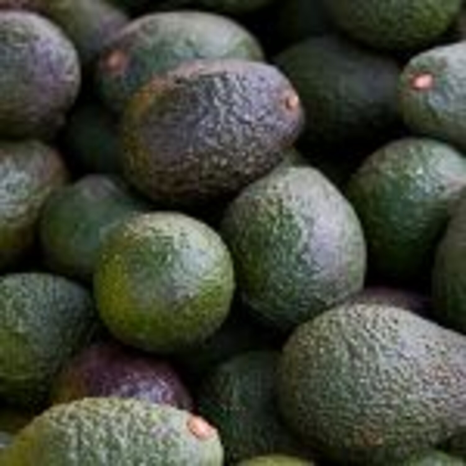 Eating fat to lose fat! | Canadian Living