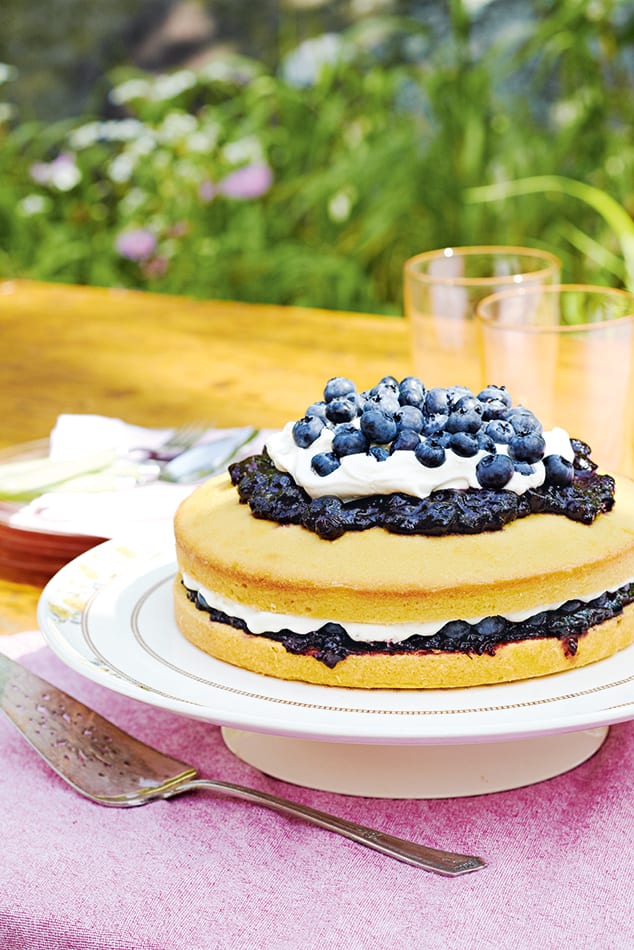 Tips for picking your own blueberries | Canadian Living