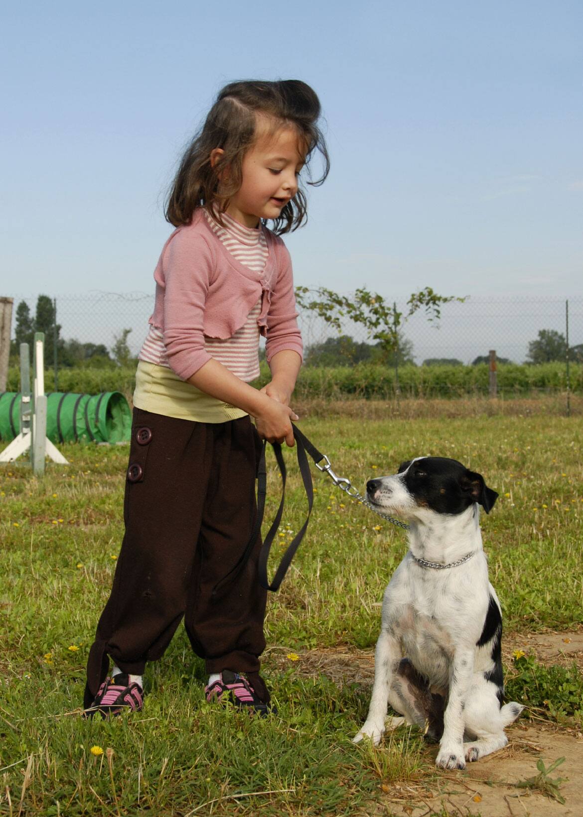 Dog behaviour: How to teach your dog good manners | Canadian Living